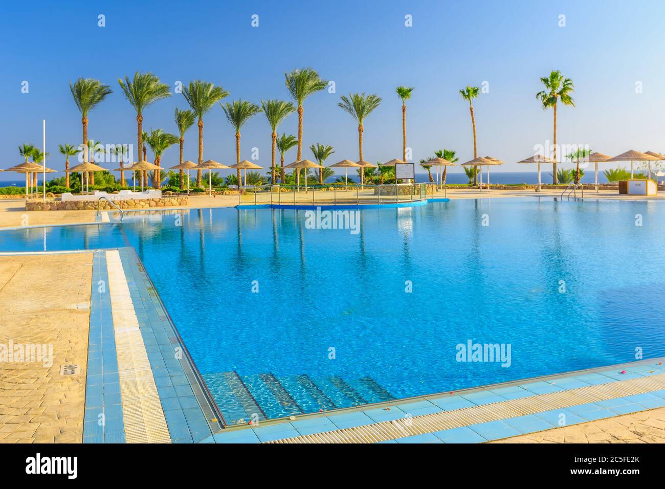 Beautiful swimming pool and palm trees in Egypt Stock Photo - Alamy