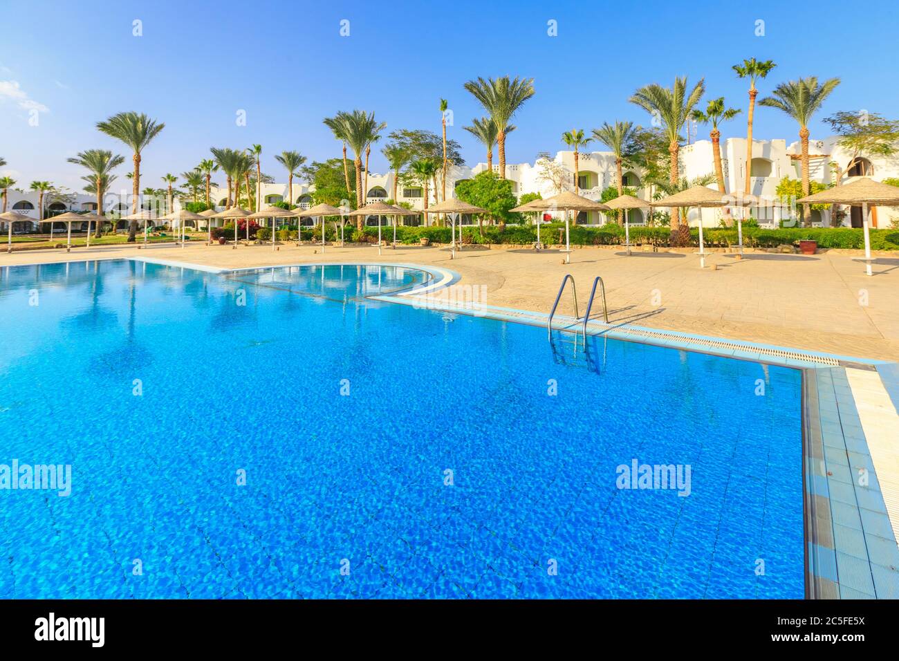 Beautiful swimming pool and palm trees in Egypt Stock Photo - Alamy