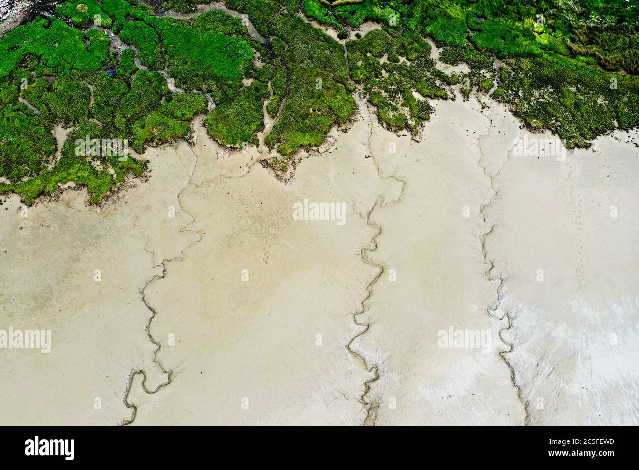 Overhead aerial drone view of rivulets over low tide mudflats Stock ...