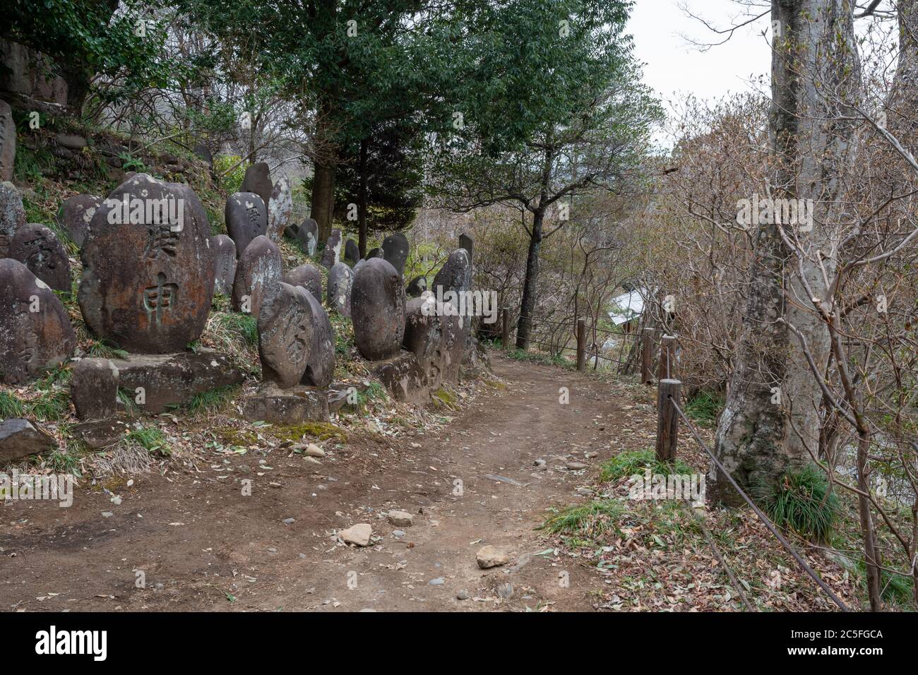 The Shōrinzan Daruma-ji Temple: a Buddhist temple of the Obaku Zen ...