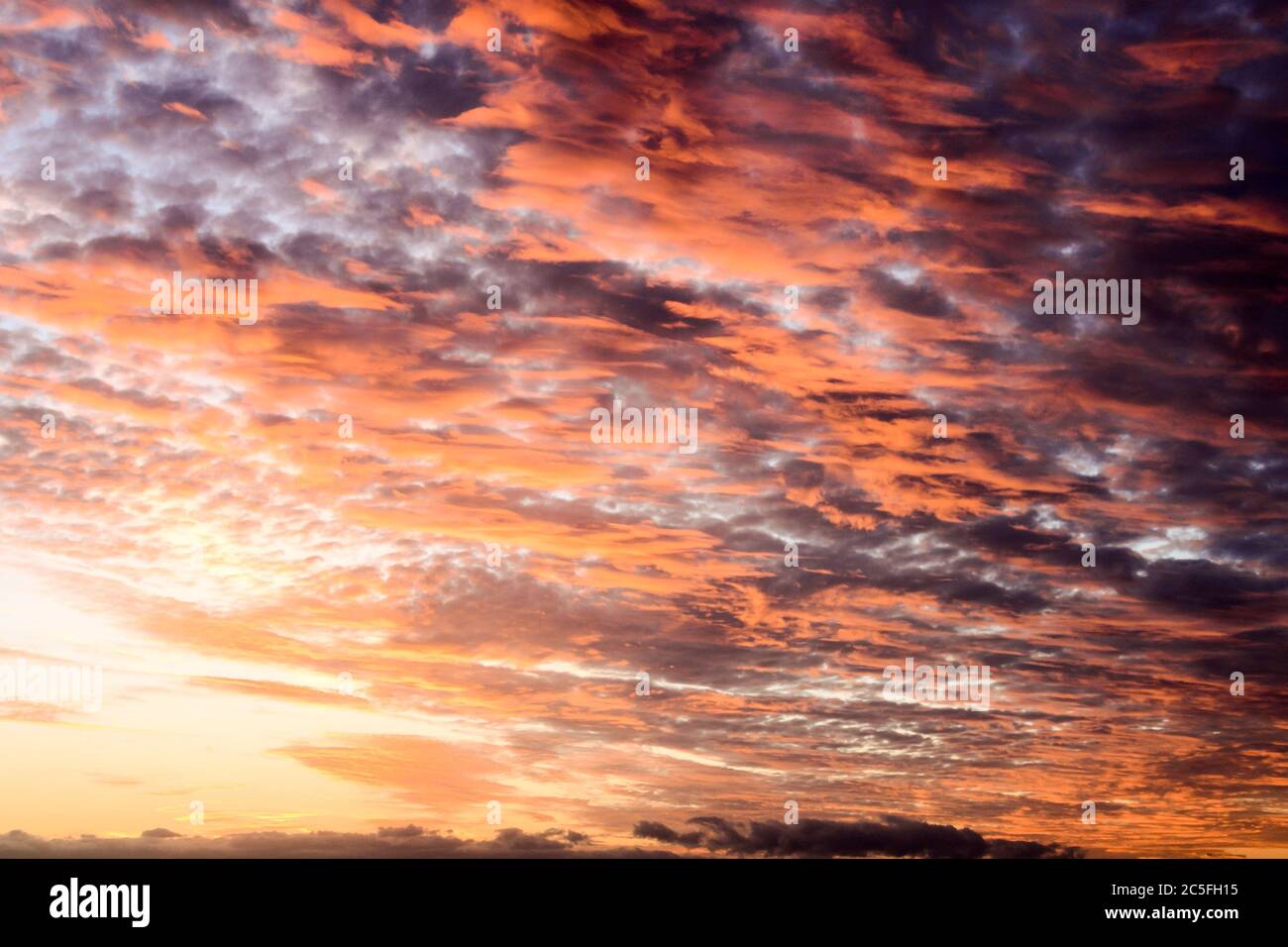 Photo Picture of a Beautiful Colored Sunset Stock Photo - Alamy