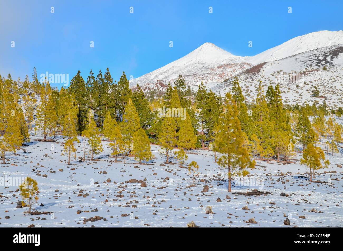 Winter Landscape on the High Mountain Range Stock Photo - Alamy