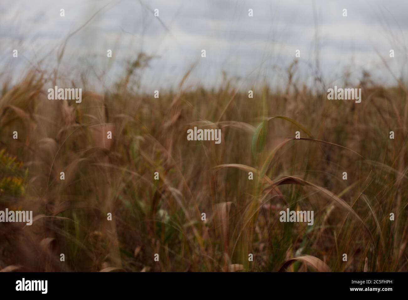 North caronlina hi-res stock photography and images - Alamy