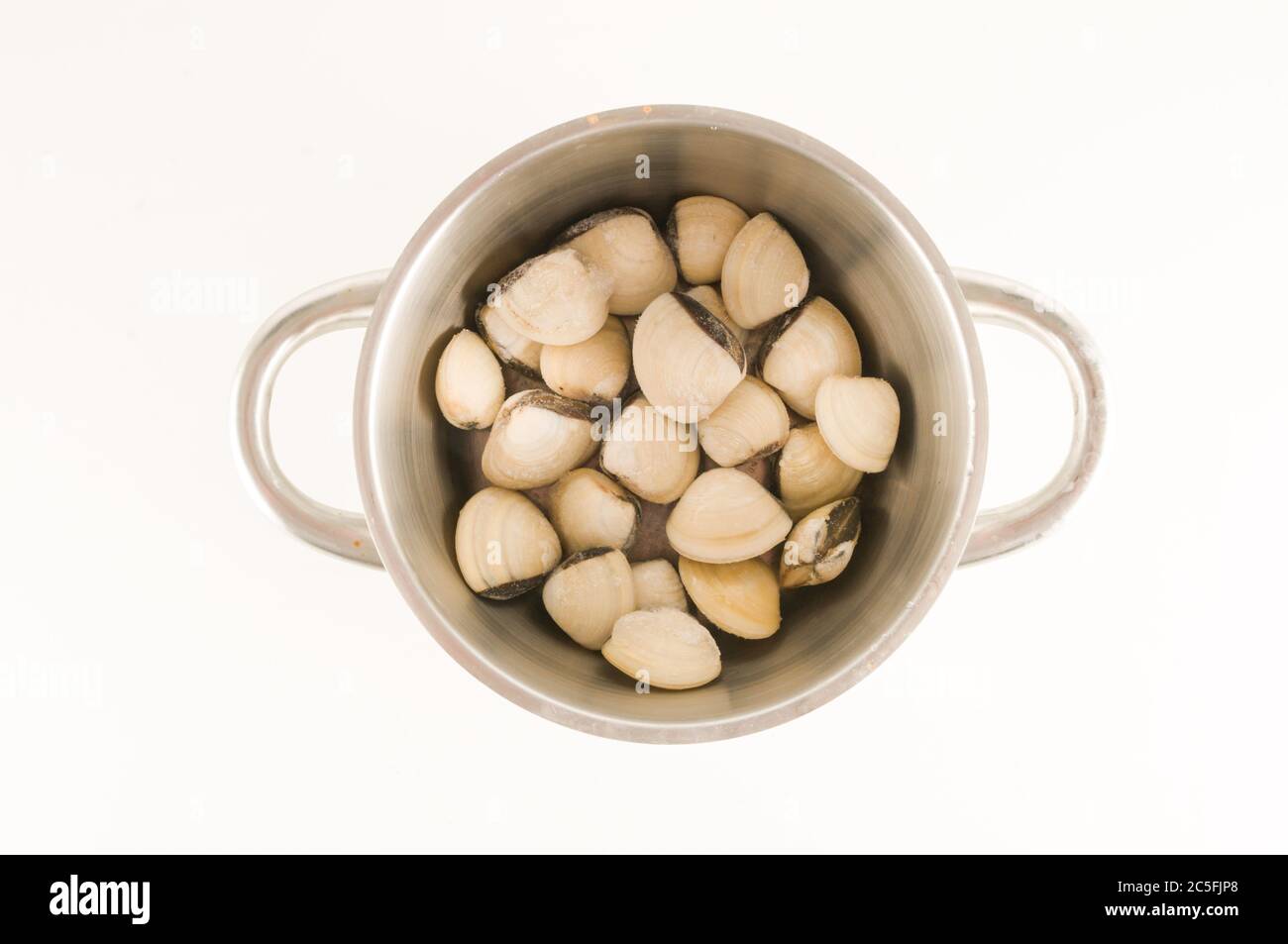 Collection of various clam shells from pacific ocean Stock Photo - Alamy