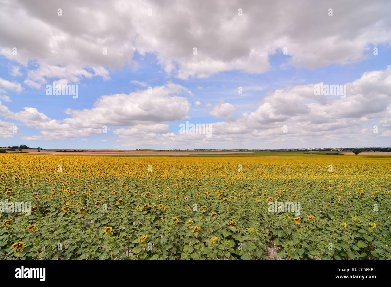 Photo Picture Scenic photography landscape European natural countryside ...