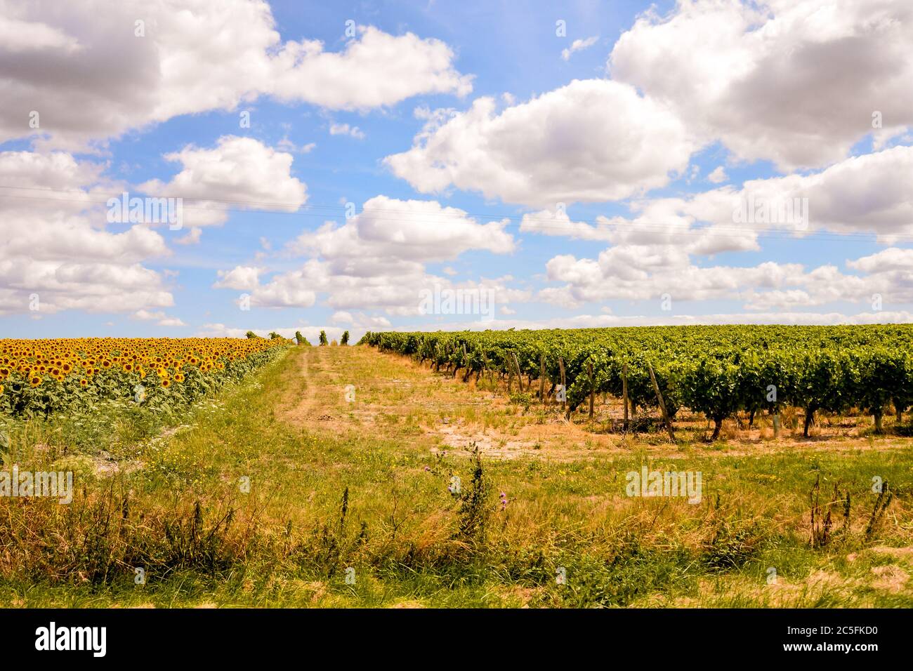 Photo Picture Scenic photography landscape European natural countryside ...