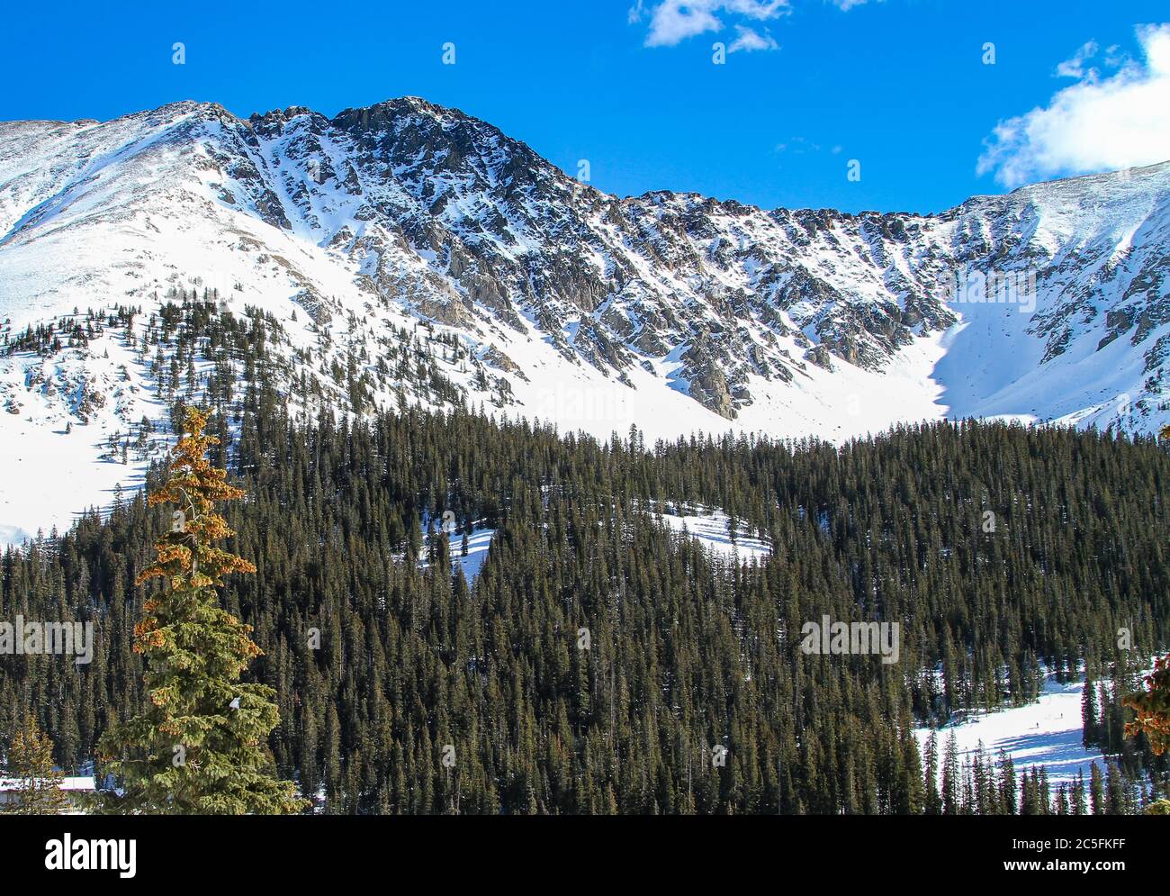 The beautiful snow covered mountains of Colorado. Lots of pine trees ...