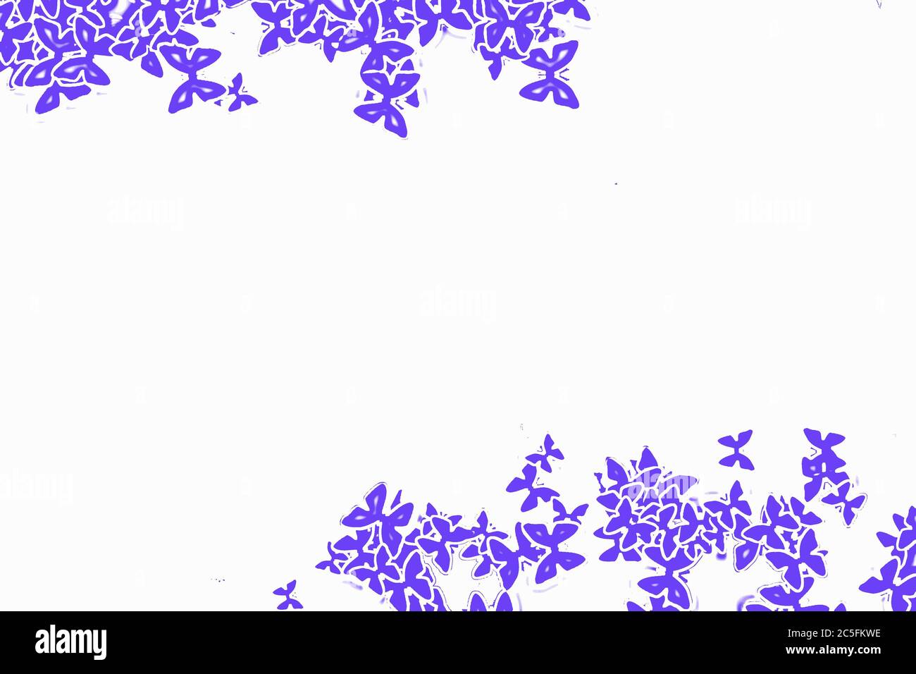Purple Butterfly Borders