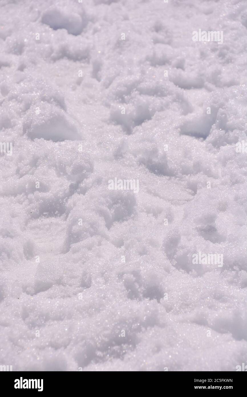 Photo Picture of Snow texture pattern for the background Stock Photo ...
