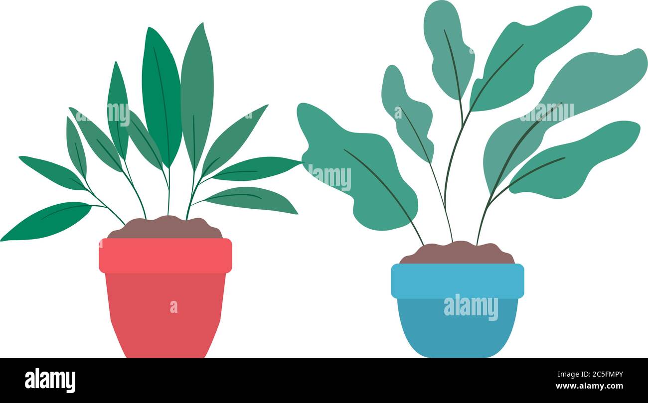 Plants inside pots design of Floral nature garden ornament botany ...