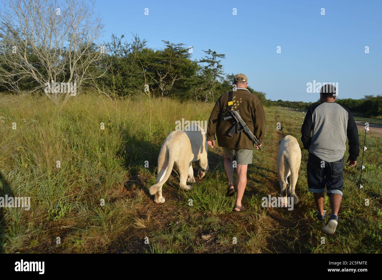 National park ranger activity hi-res stock photography and images - Alamy