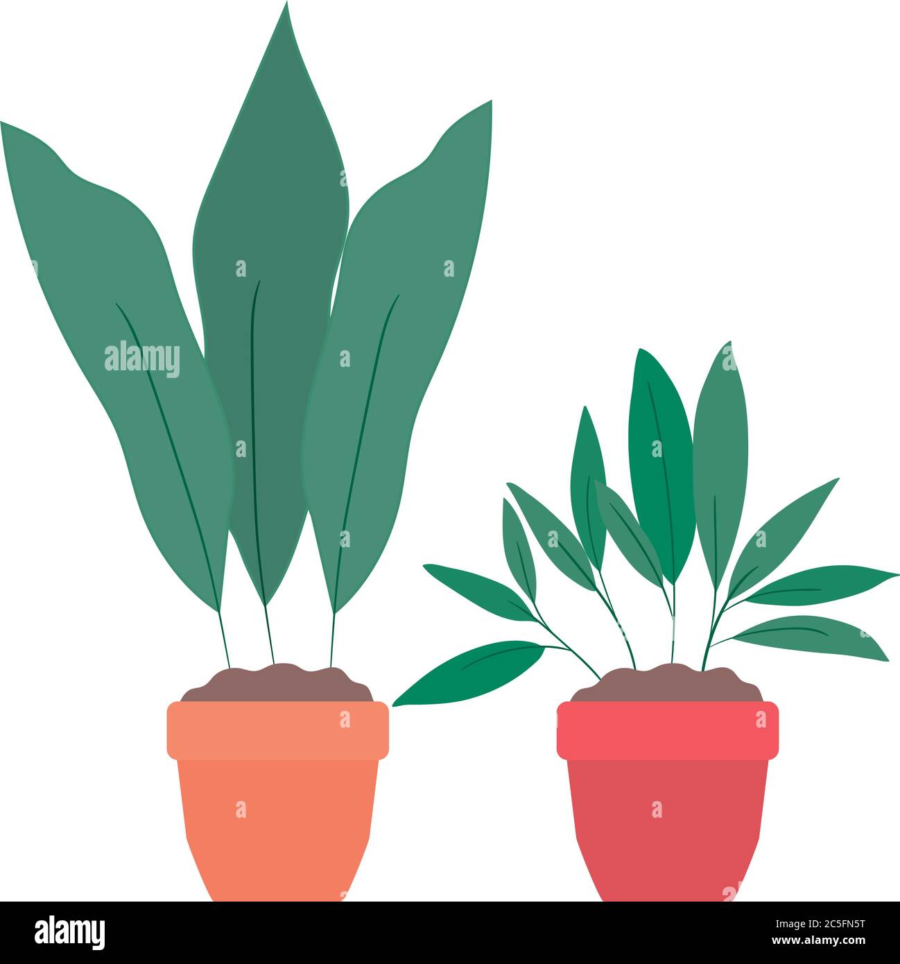 Plants inside pots design of Floral nature garden ornament botany ...