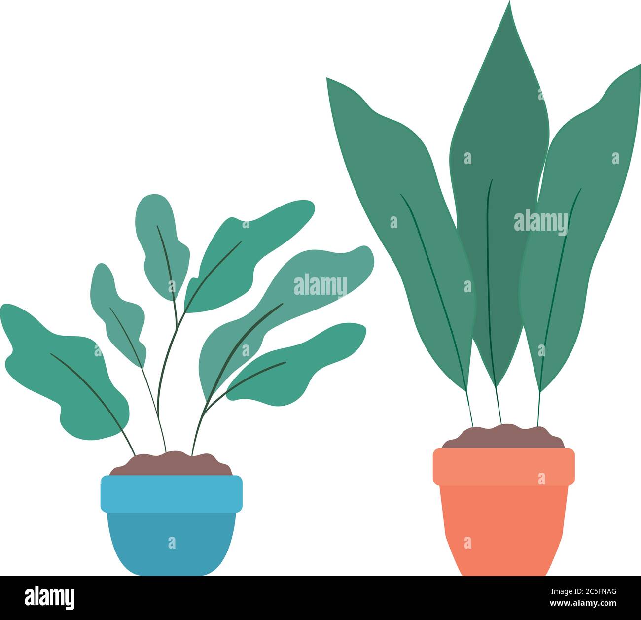 Plants inside pots design of Floral nature garden ornament botany ...