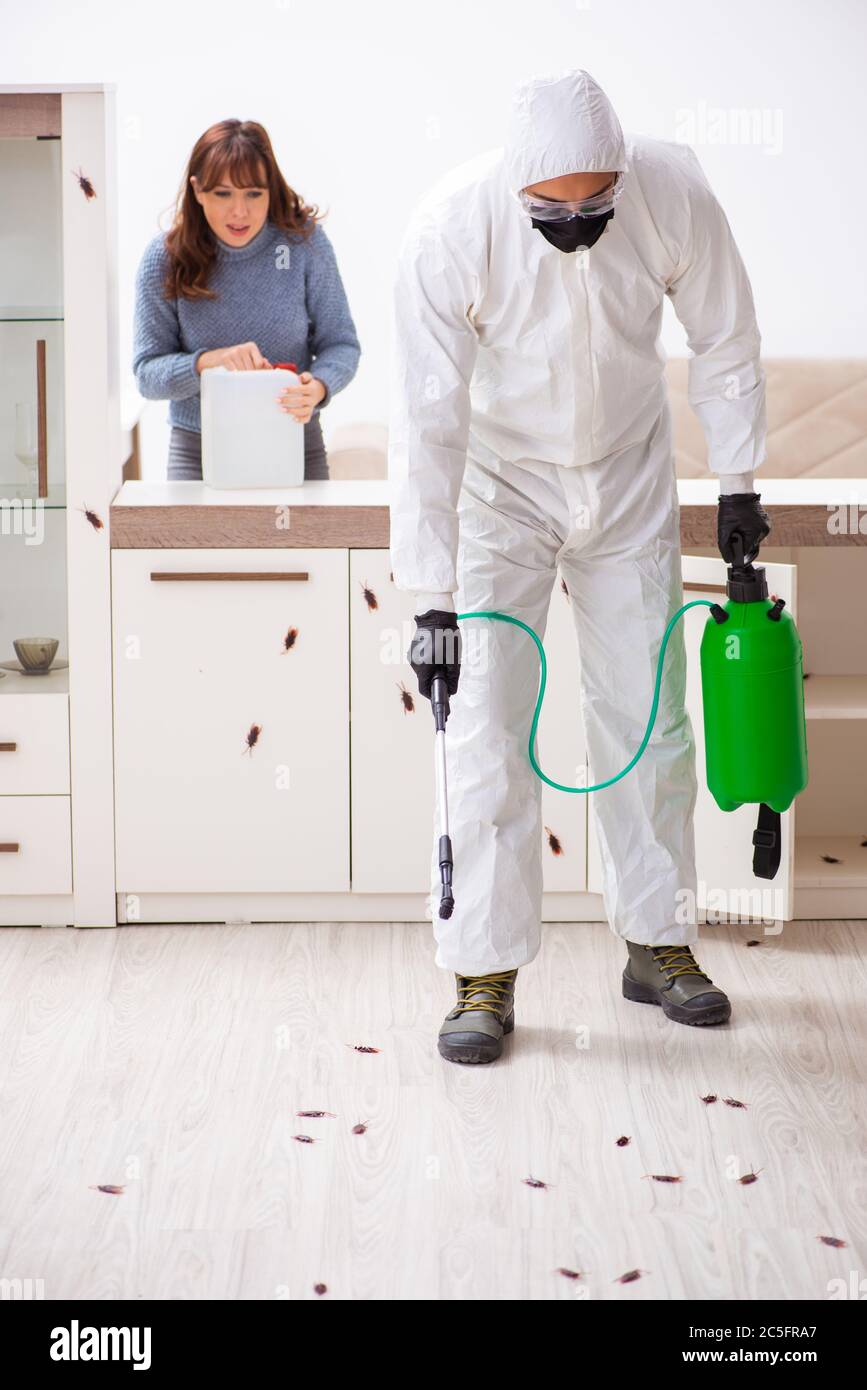 Young male contractor and female client during pest control at flat ...