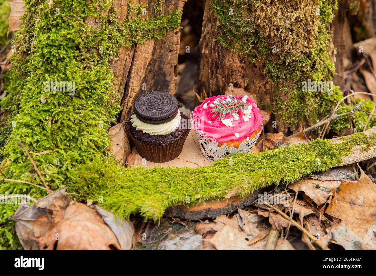 A chocolate moss hi-res stock photography and images - Alamy