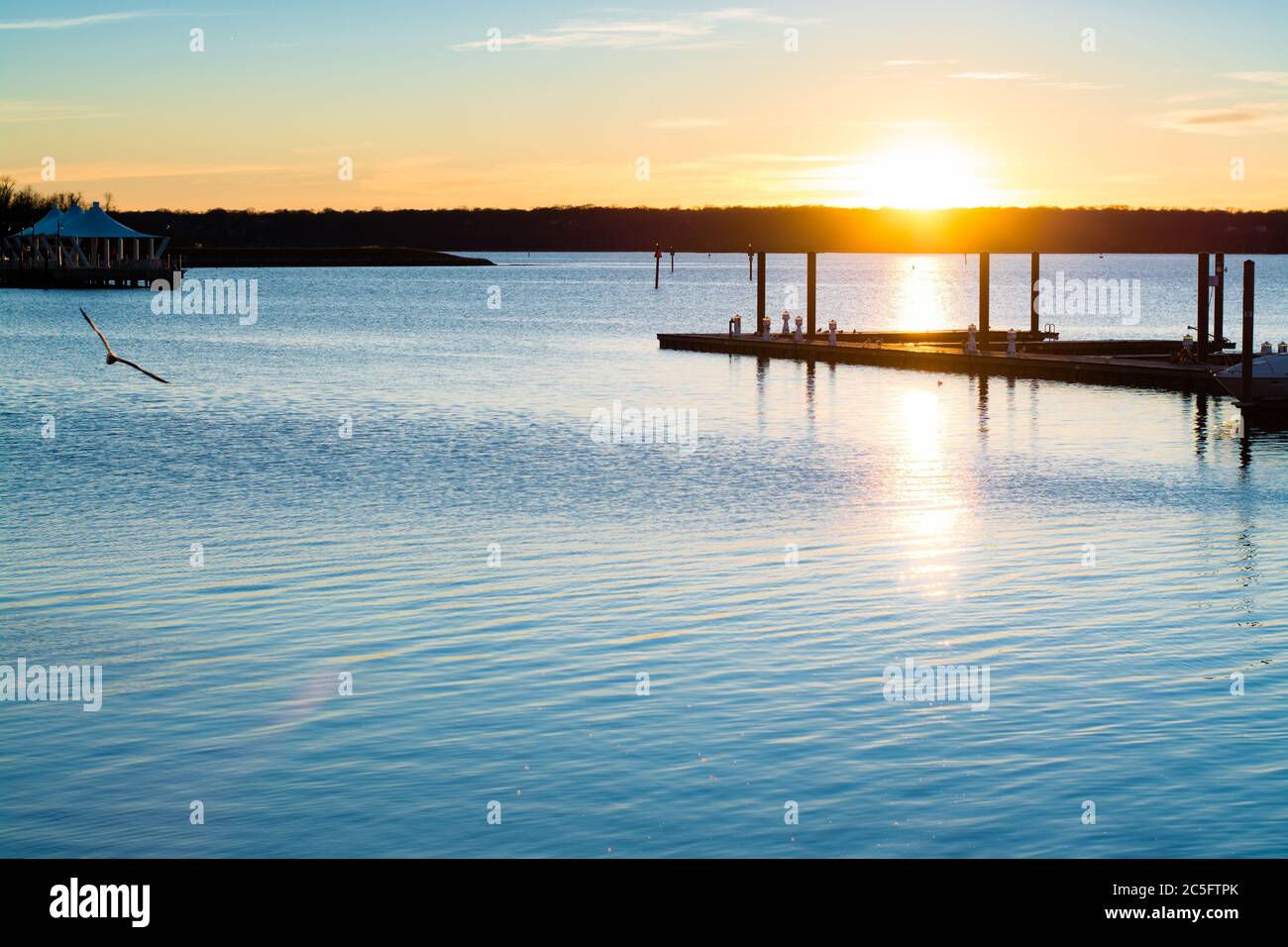 Scenic Sunset at Potomac River on the Harbor with a Bird Flying with ...