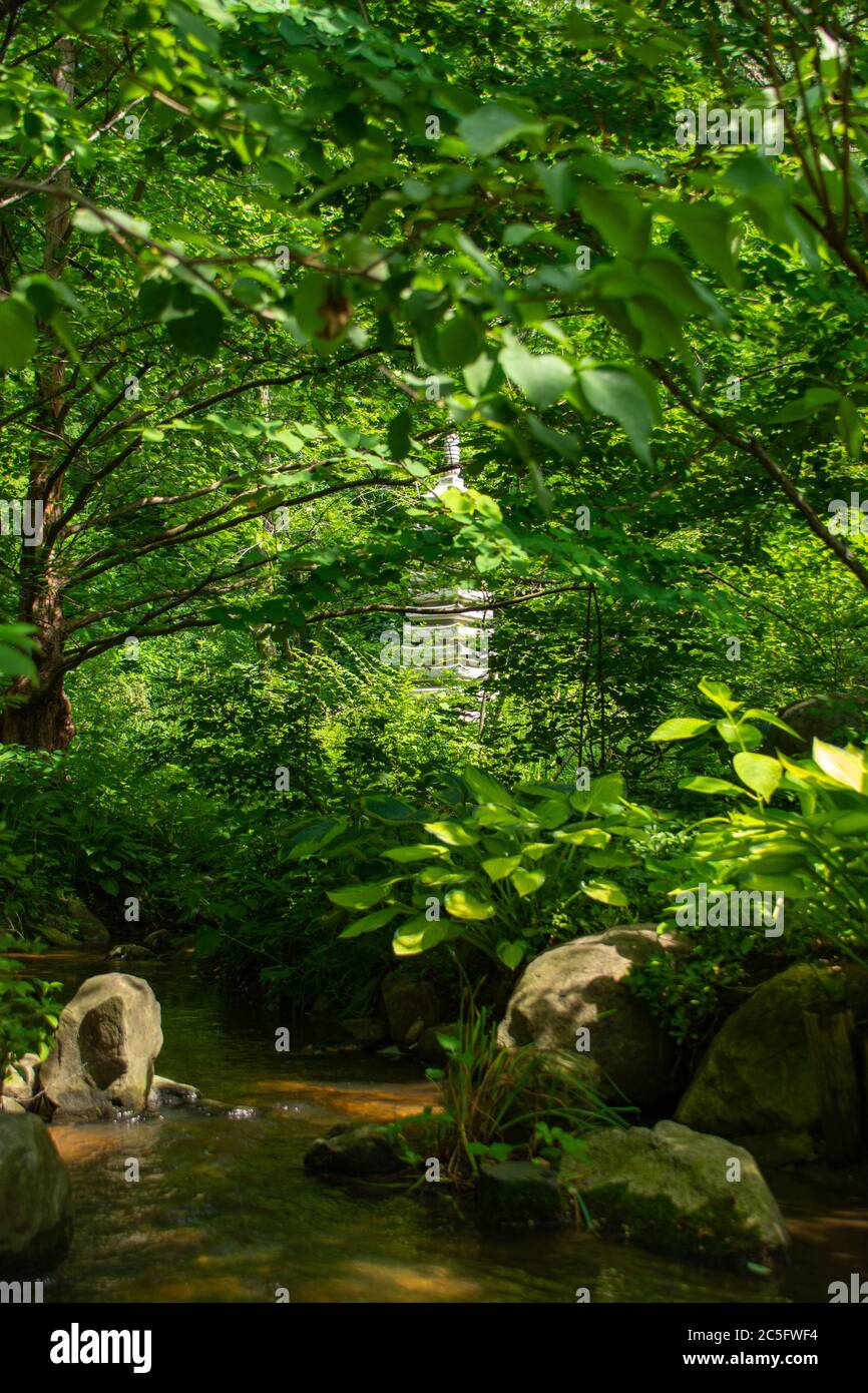 Small stream flowing through the Japanese Garden landscape Stock Photo ...