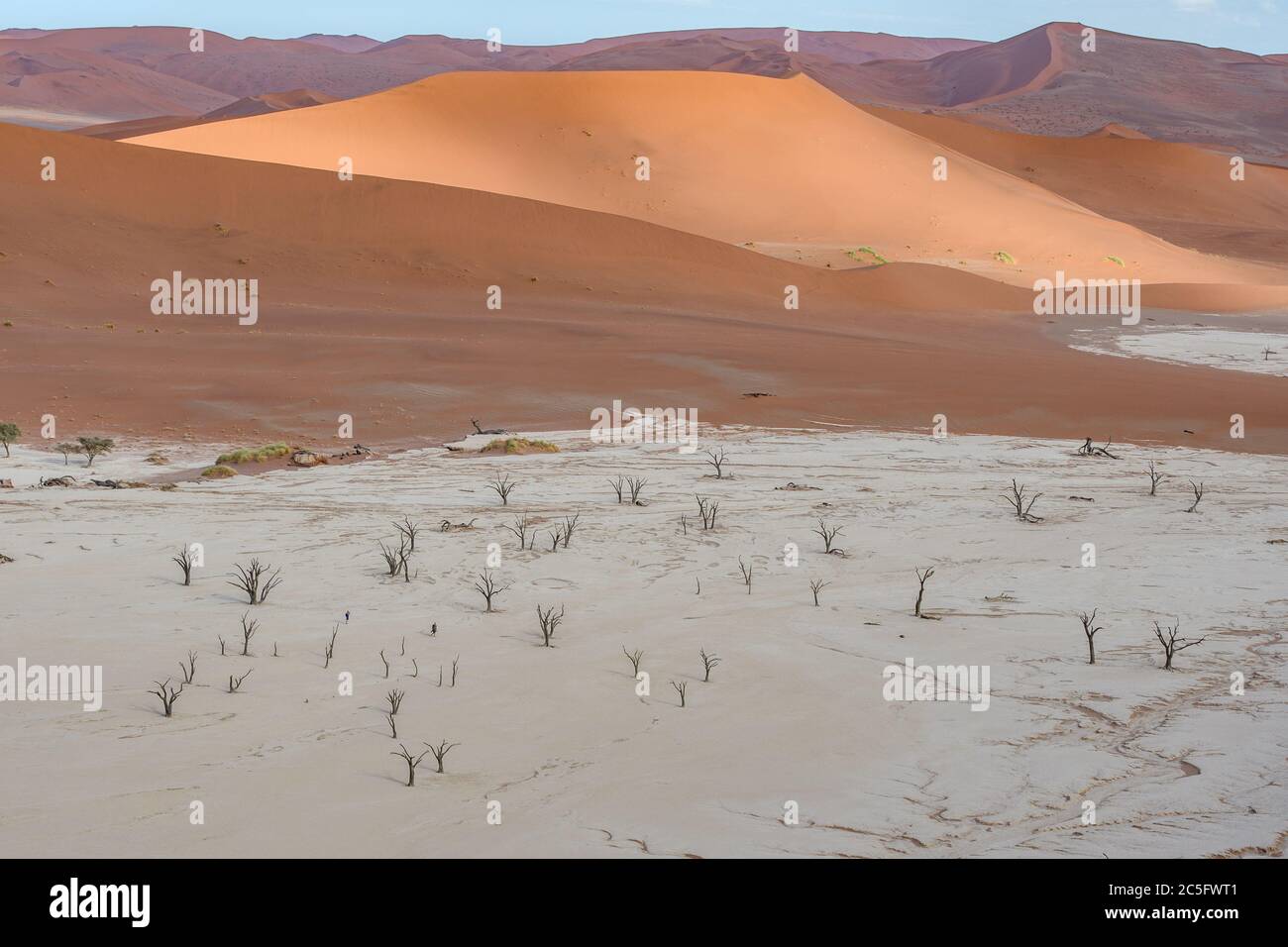 Deadvlei Pan, Sossusvlei , Namib-Naukluft National Park , Namibia Stock ...
