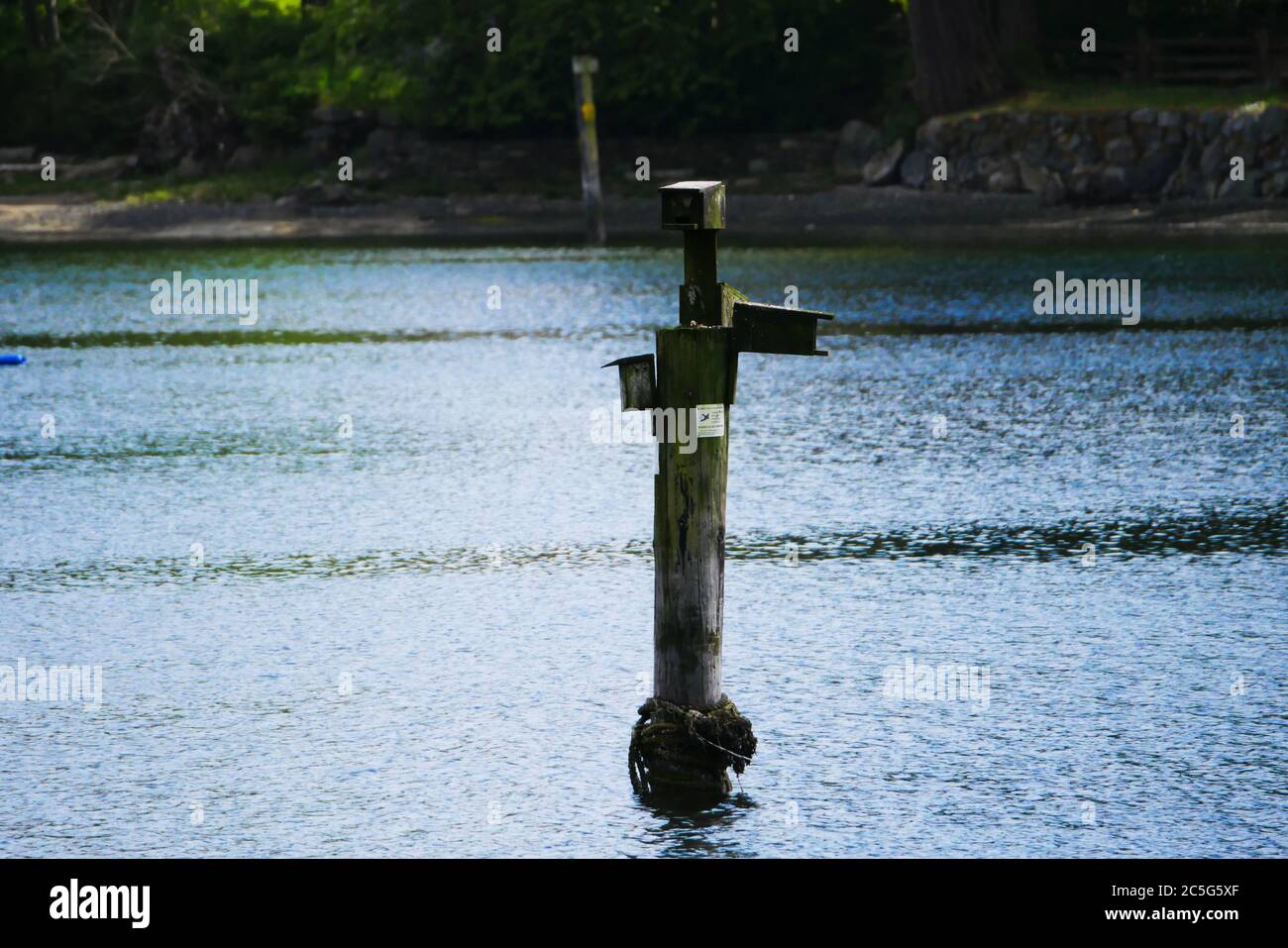 Purple martin birdhouse hi-res stock photography and images - Alamy