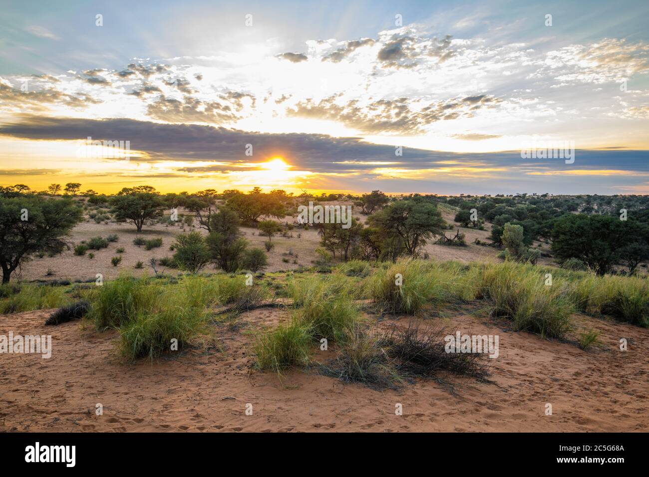 Kalahari desert namibia hi-res stock photography and images - Alamy