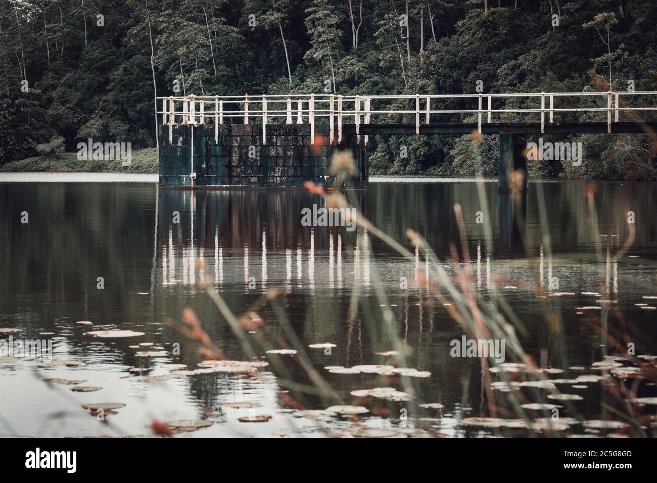 Hiyare and sri lanka hi-res stock photography and images - Alamy