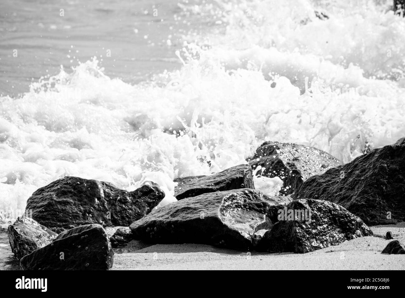Big rock in jungle Black and White Stock Photos & Images - Alamy