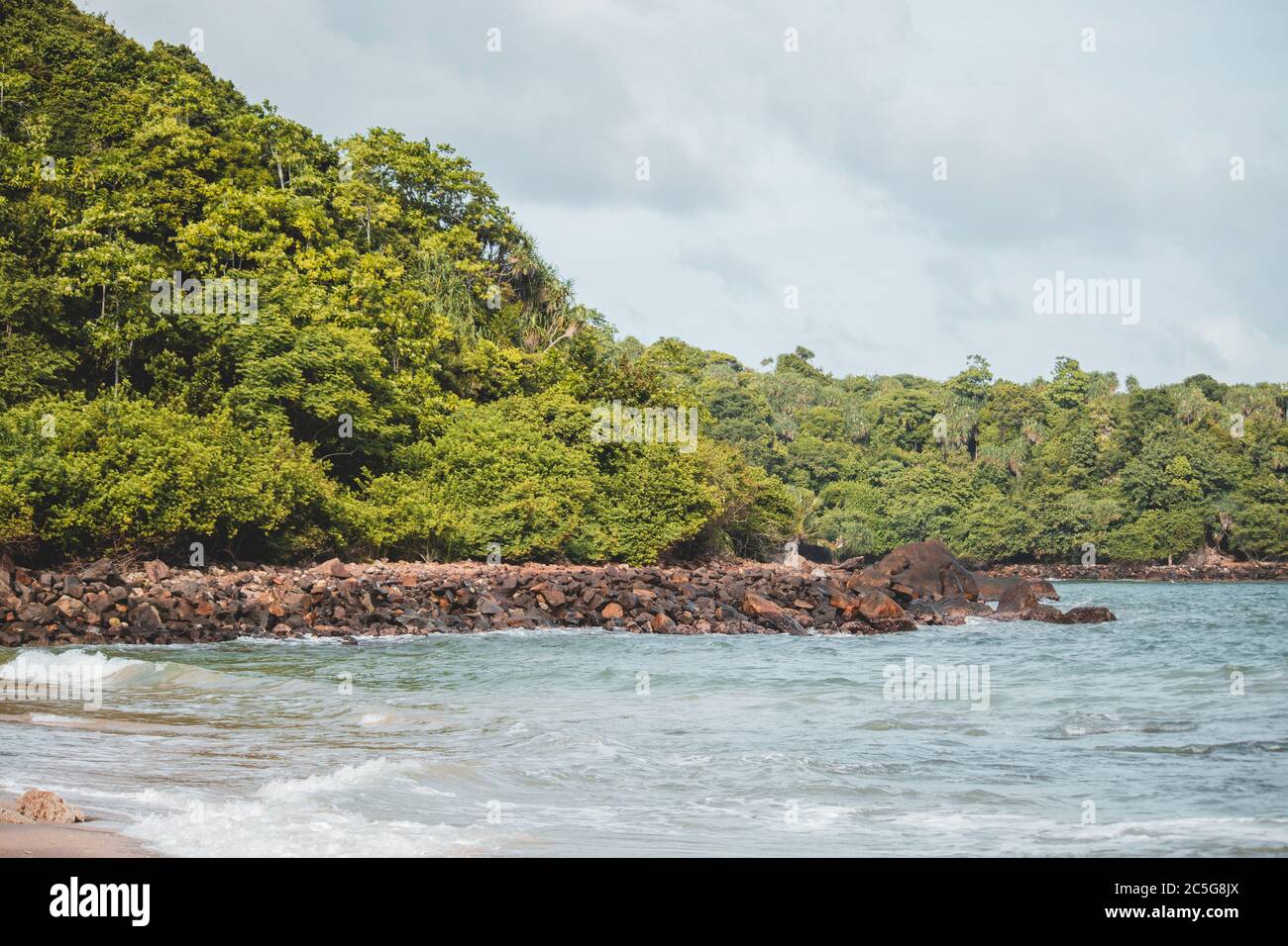 Jungle beach shore with rocks landscape Stock Photo - Alamy