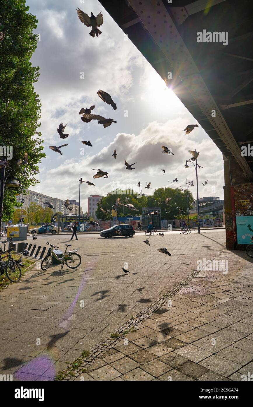BERLIN, GERMANY - CIRCA SEPTEMBER, 2019: a flock of pigeons seen in ...