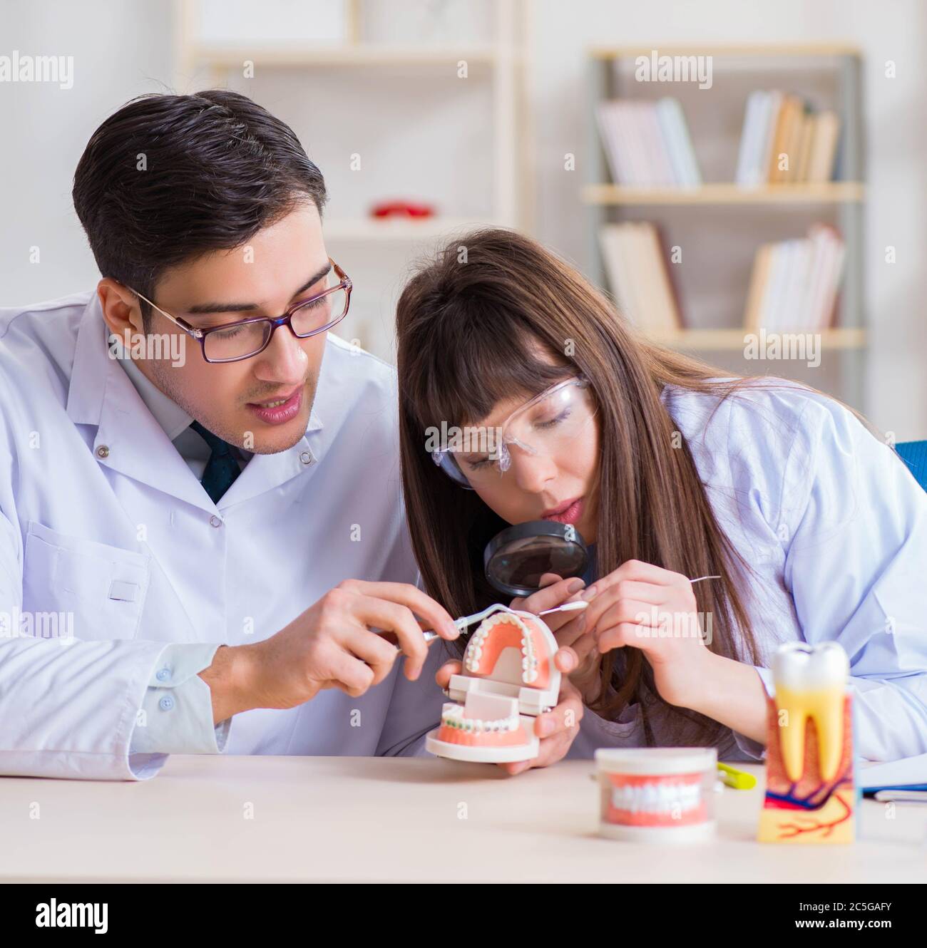 The dentist explaining student tooth structure Stock Photo - Alamy
