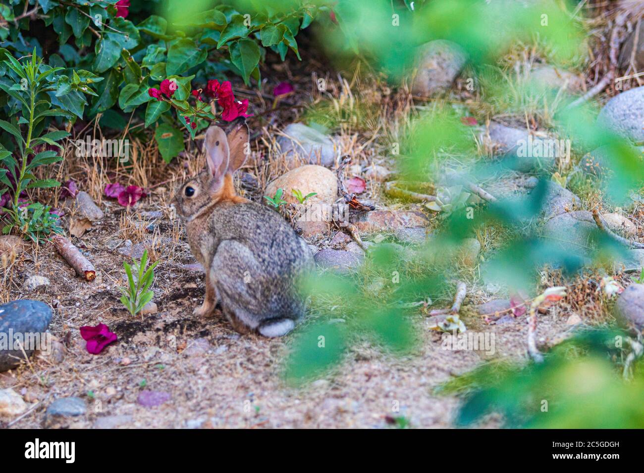 Contagious disease acts hi-res stock photography and images - Alamy