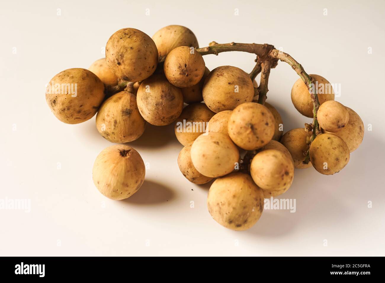 Lansium parasiticum, commonly known in English as langsat or lanzones ...