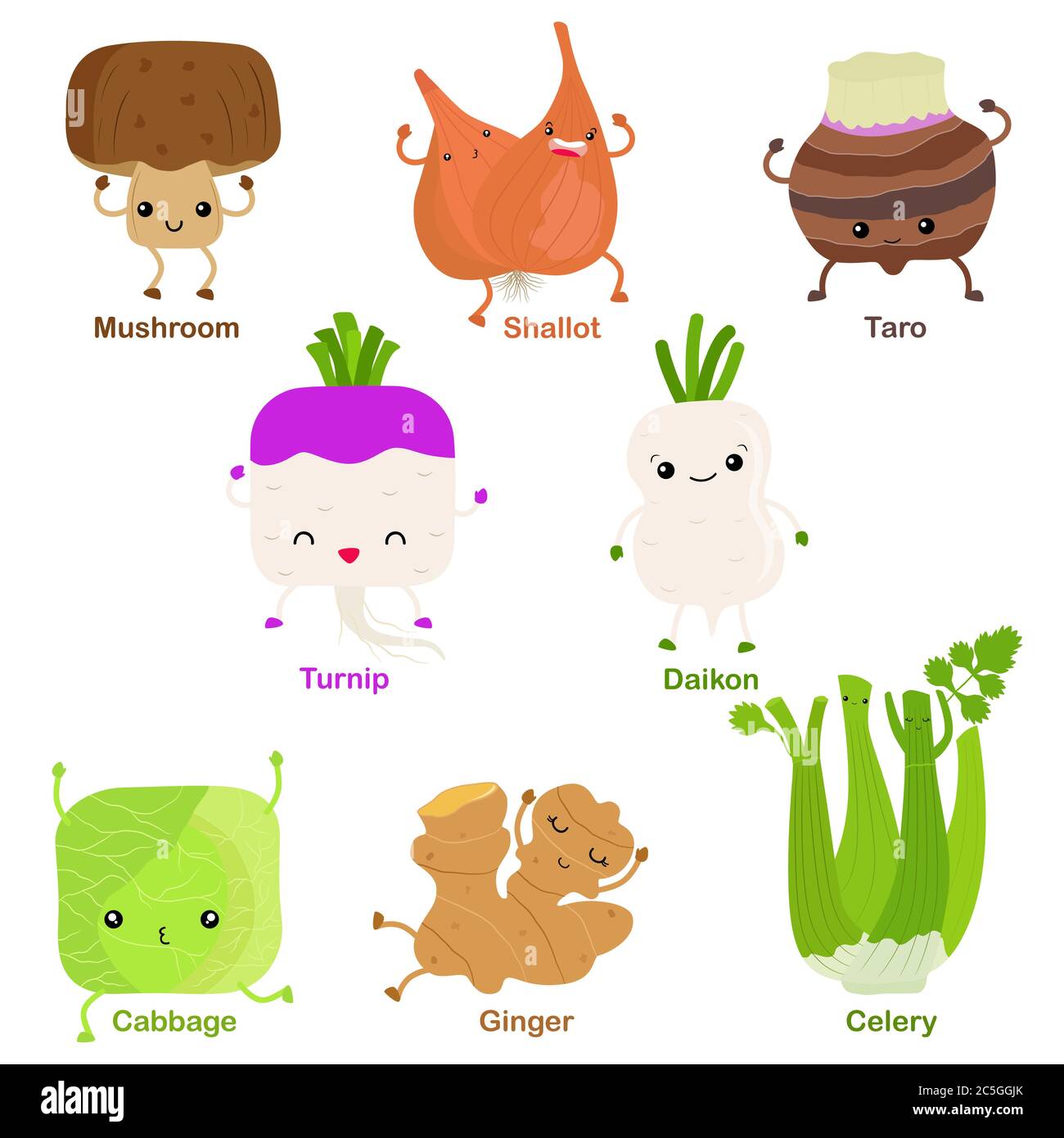 Taro isolated on white Stock Vector Images - Alamy