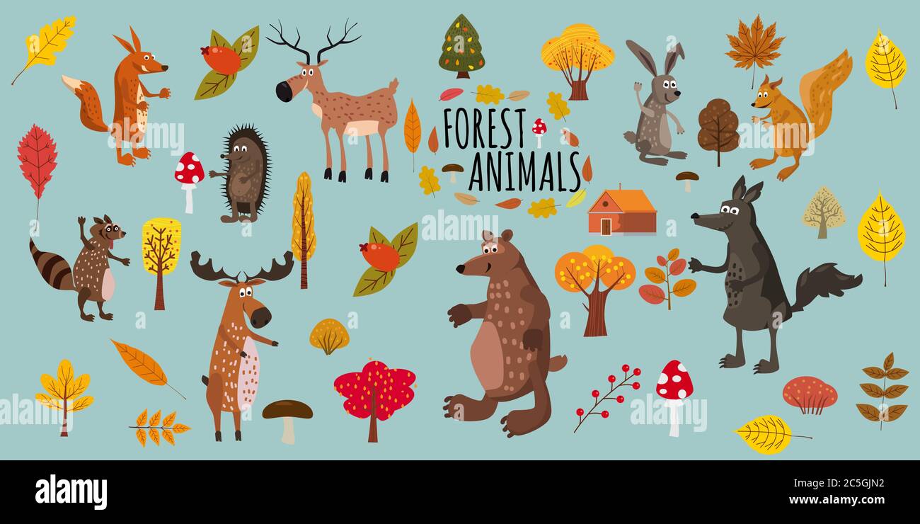 Set of cute forest animals bear, raccoon, squirrel, hare, fox, wolf ...