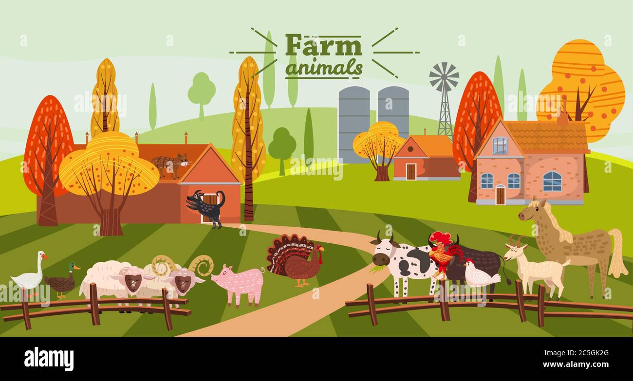 Barnyard hen duck hi-res stock photography and images - Alamy