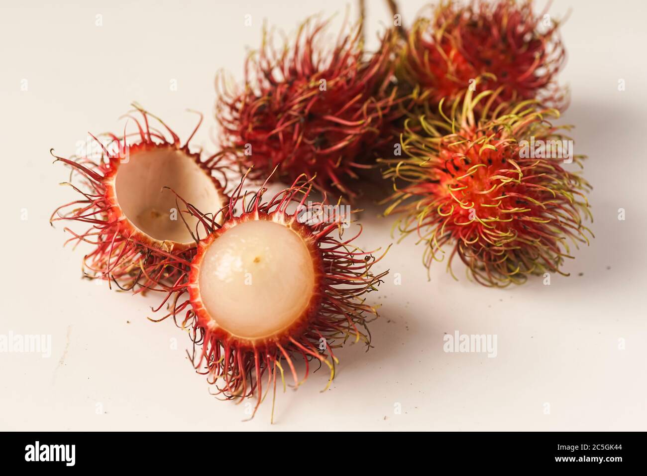 The rambutan is a medium-sized tropical tree in the family Sapindaceae ...