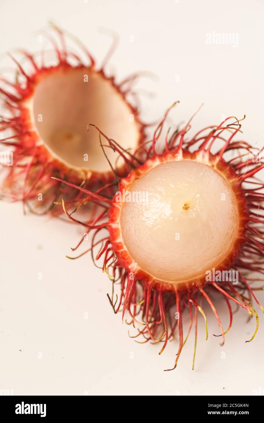 The rambutan is a medium-sized tropical tree in the family Sapindaceae ...