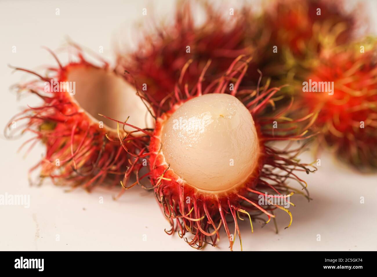 The rambutan is a medium-sized tropical tree in the family Sapindaceae ...