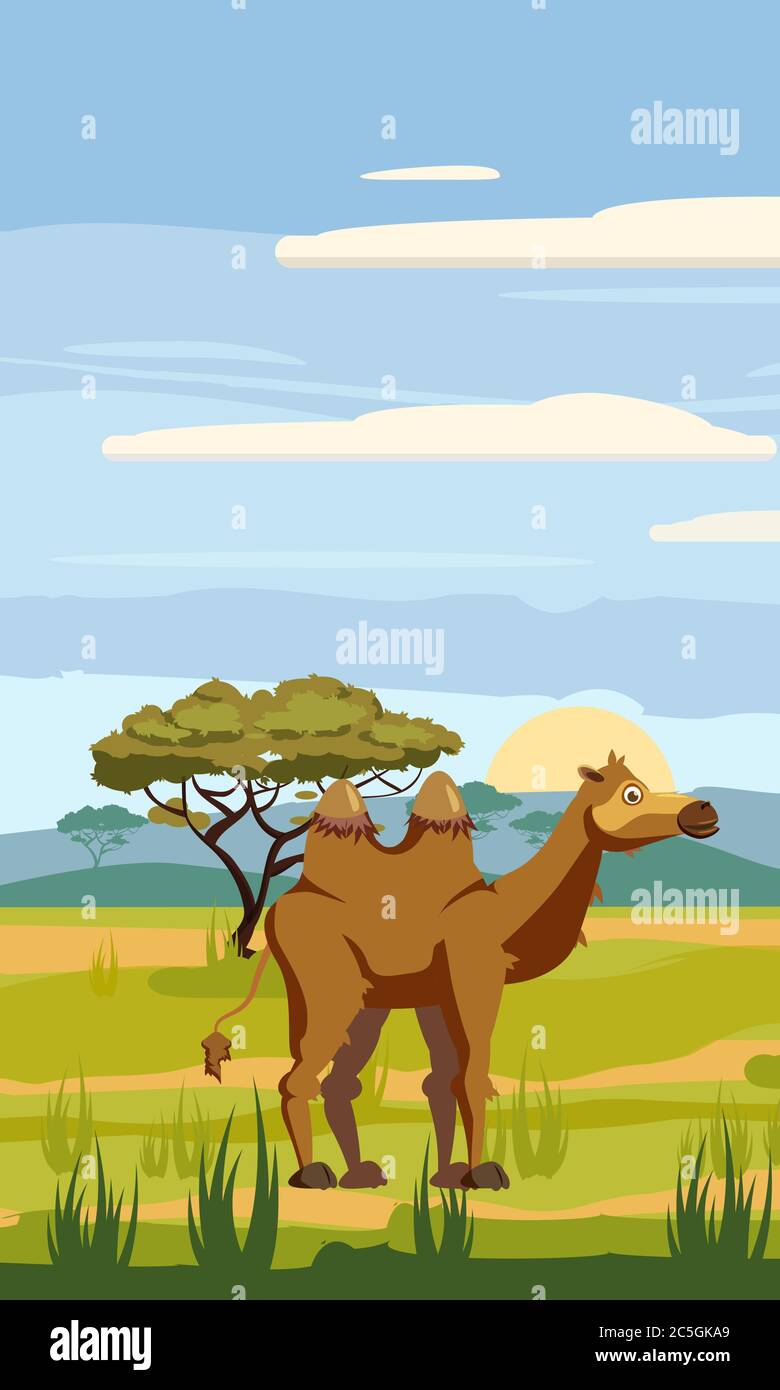Camel side view cartoon hi-res stock photography and images - Alamy