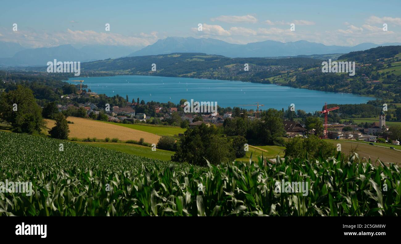 lake Hallwil in the Aargau area in Switzerland Stock Photo - Alamy