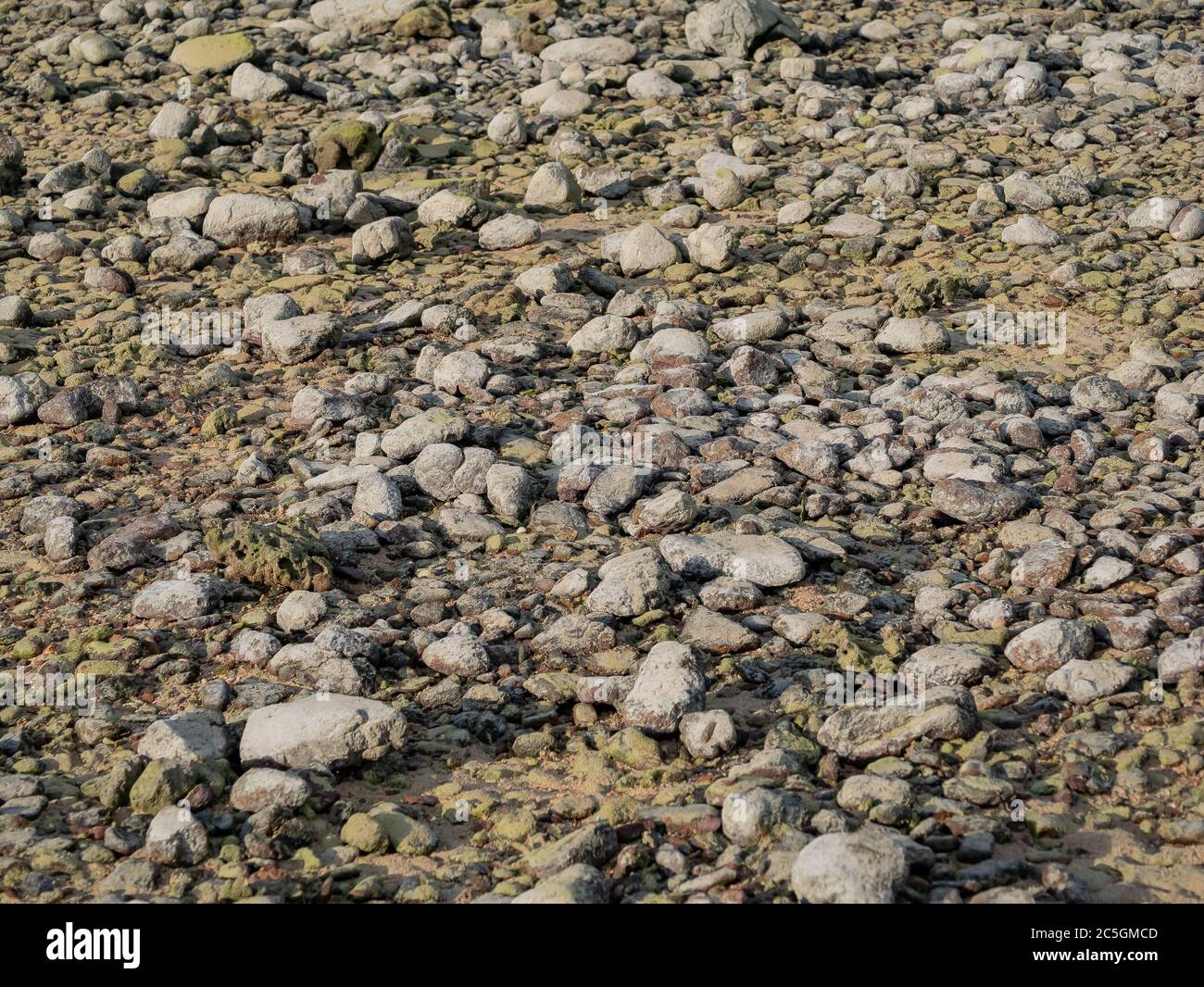 stone ground floor surface background for texture Stock Photo - Alamy