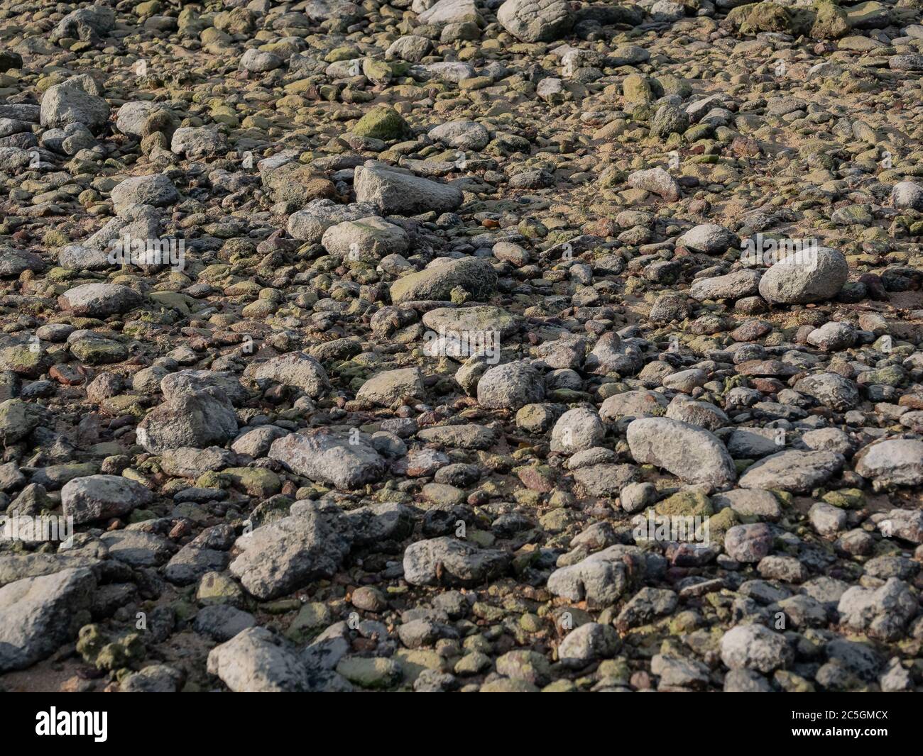 stone ground floor surface background for texture Stock Photo - Alamy