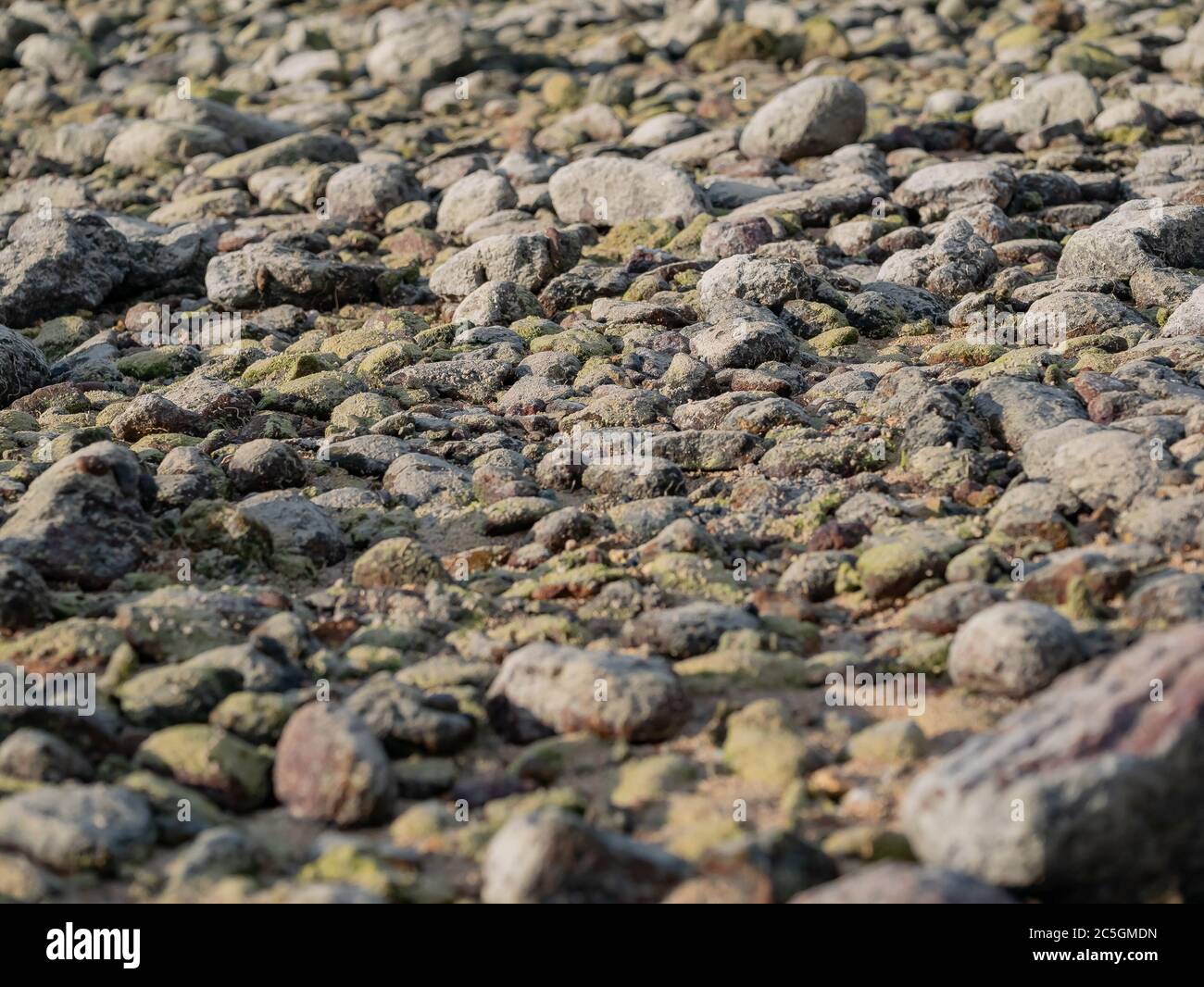 stone ground floor surface background for texture Stock Photo - Alamy