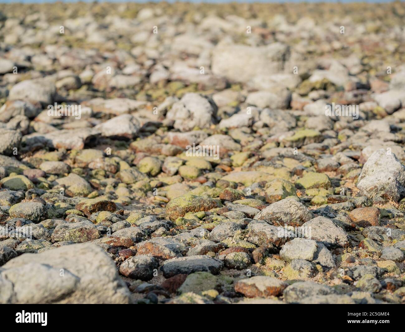 stone ground floor surface background for texture Stock Photo - Alamy