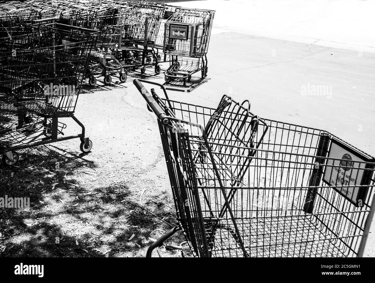 A high contrast image of shopping carts parked behind a grocery store ...