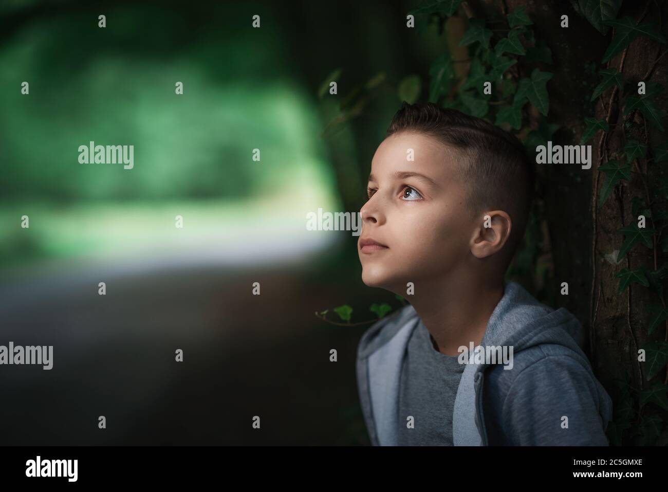 portrait of a handsome boy outdoor Stock Photo - Alamy