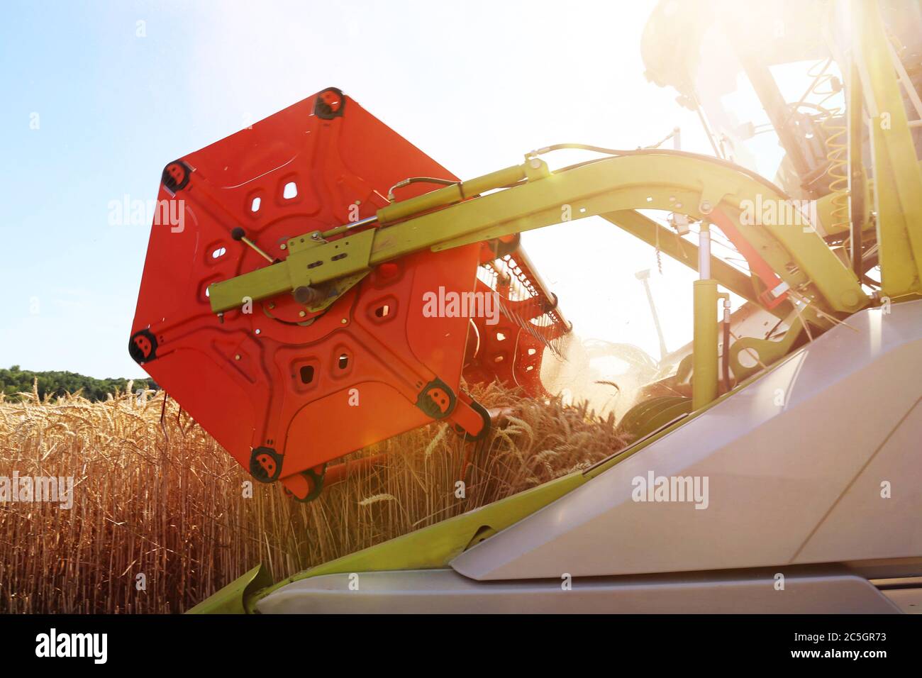 Agricultural cereal harvest with with combine harvester Stock Photo - Alamy
