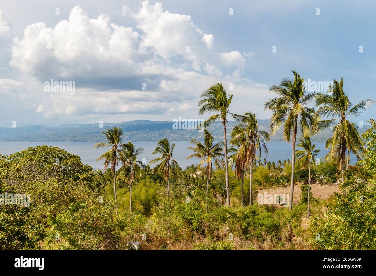 Negros High Resolution Stock Photography and Images - Alamy