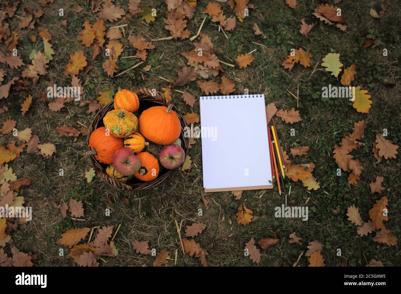Autumn Mock up.Back to school. Blank white notebook and color pencils ...
