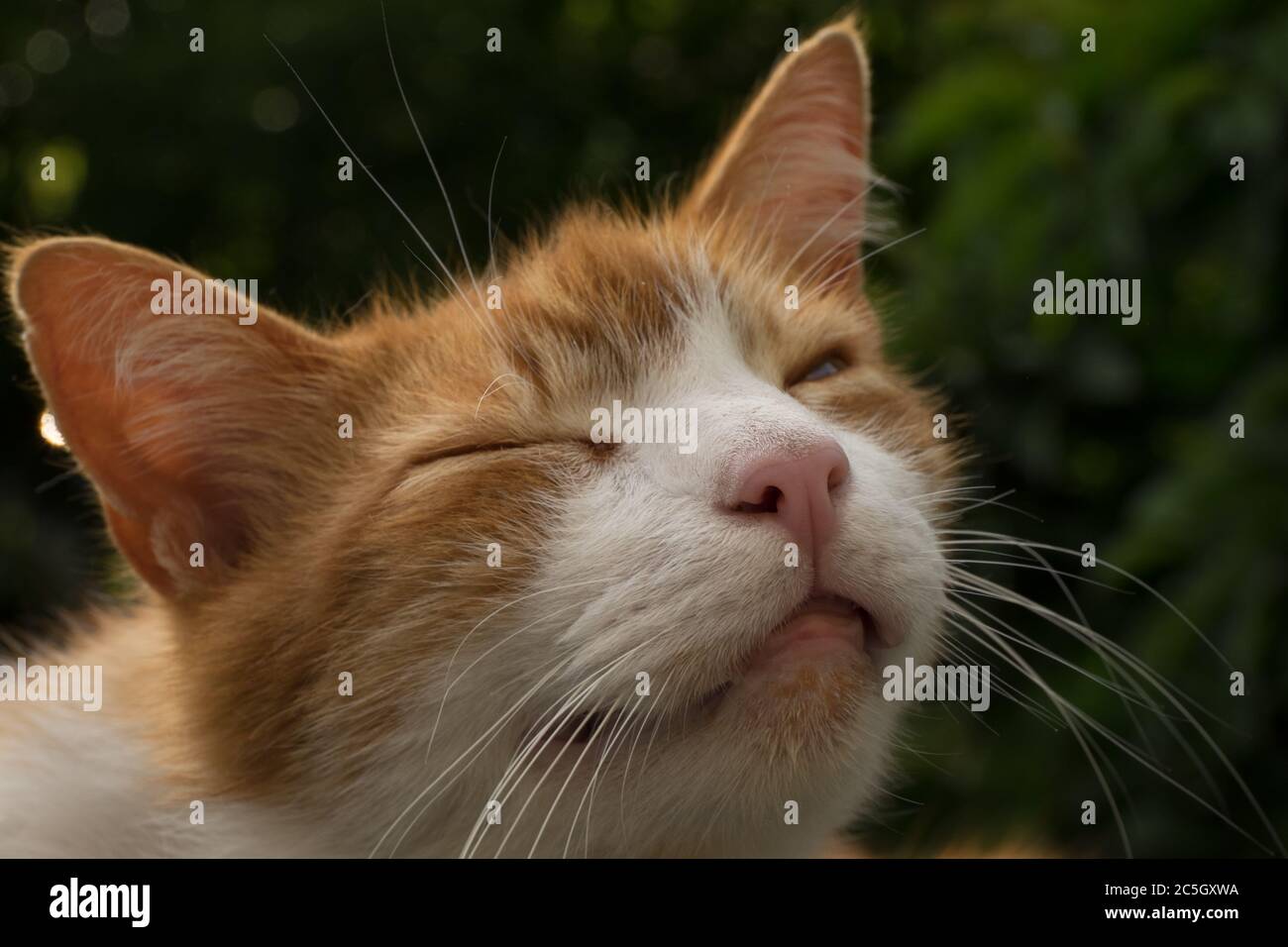 Closes one eye hi-res stock photography and images - Alamy