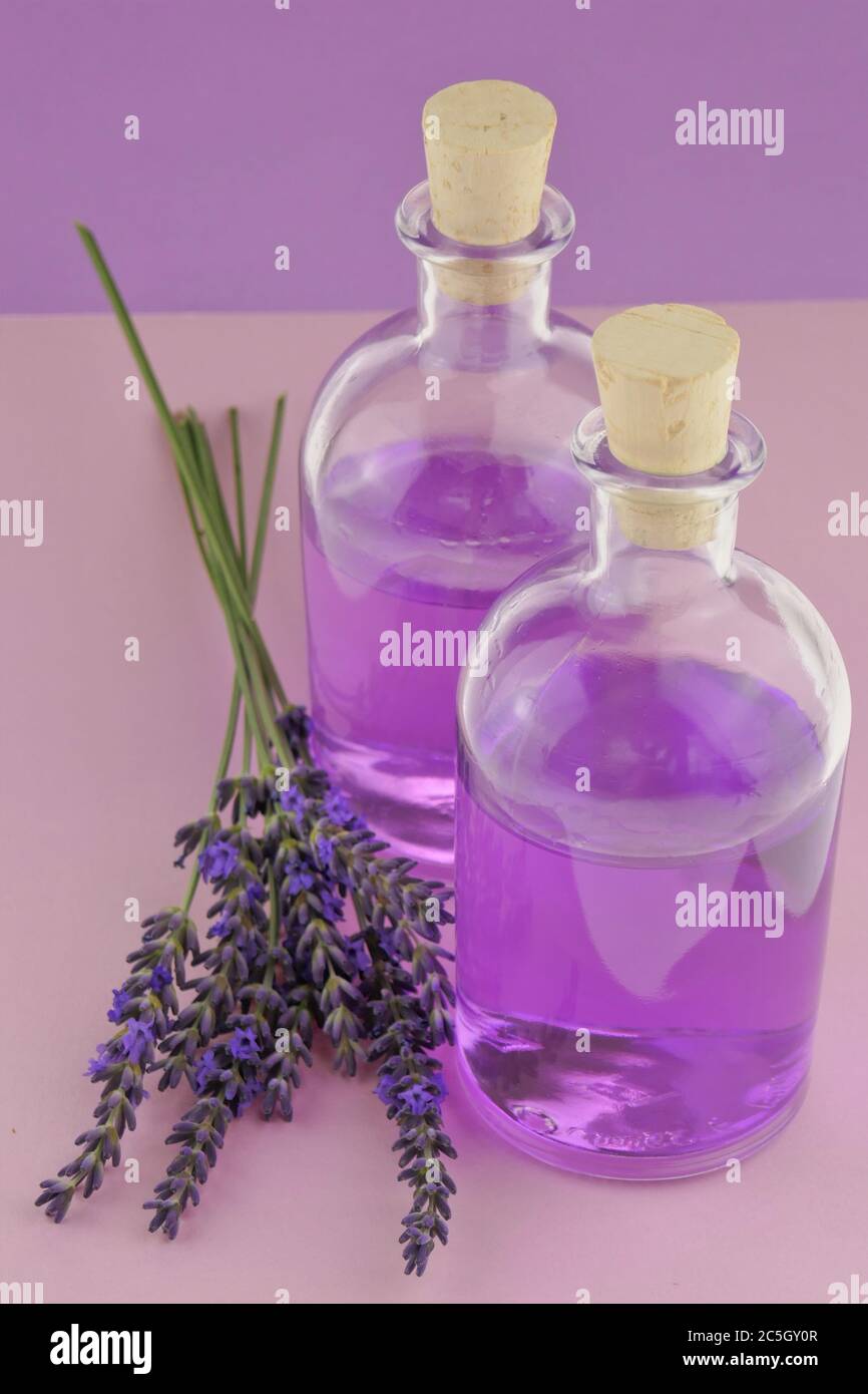 Lavender water. Lavender Extract.Lavender essence in bottles set and ...